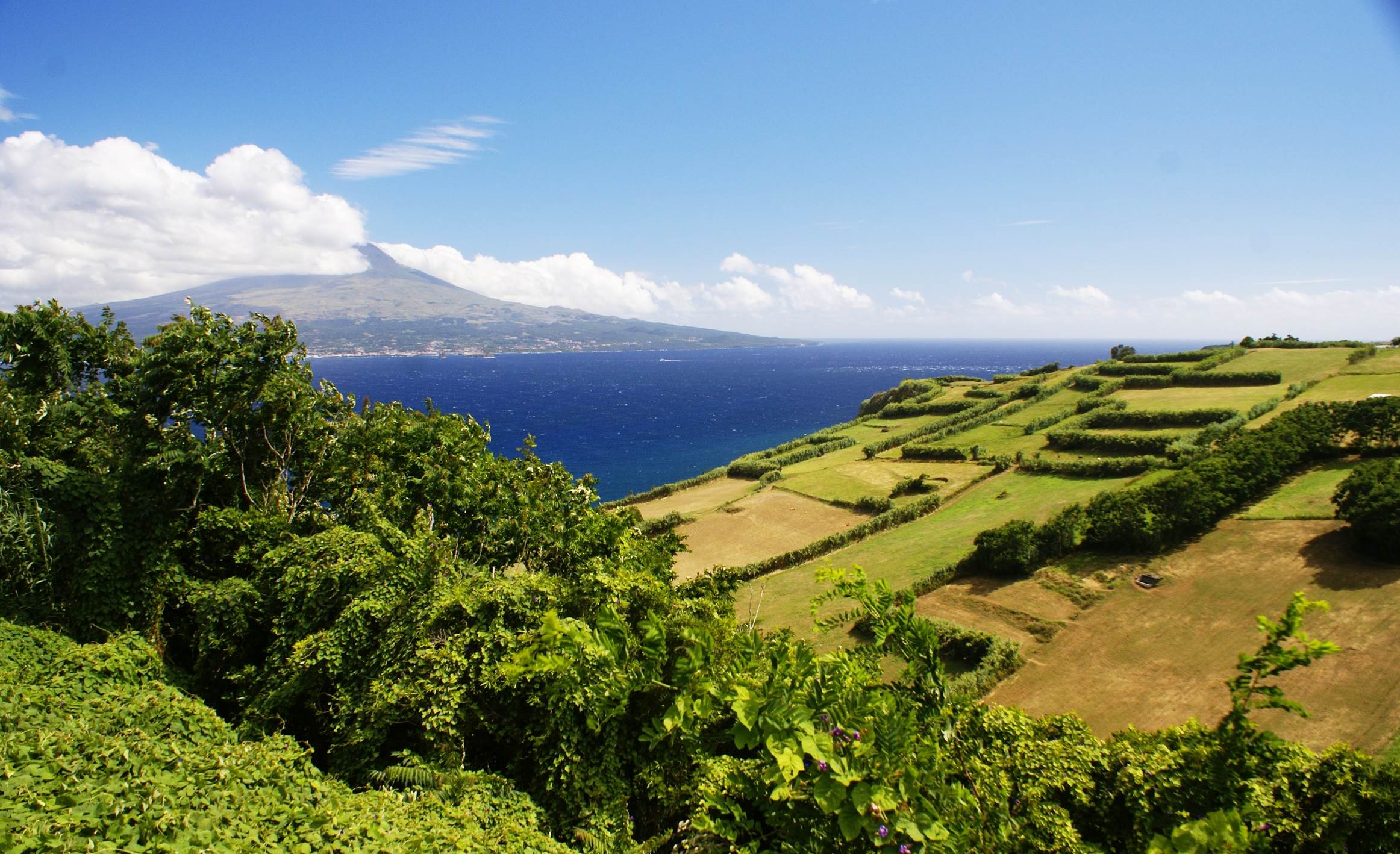 Faial - Ribeirinha - Destinazores